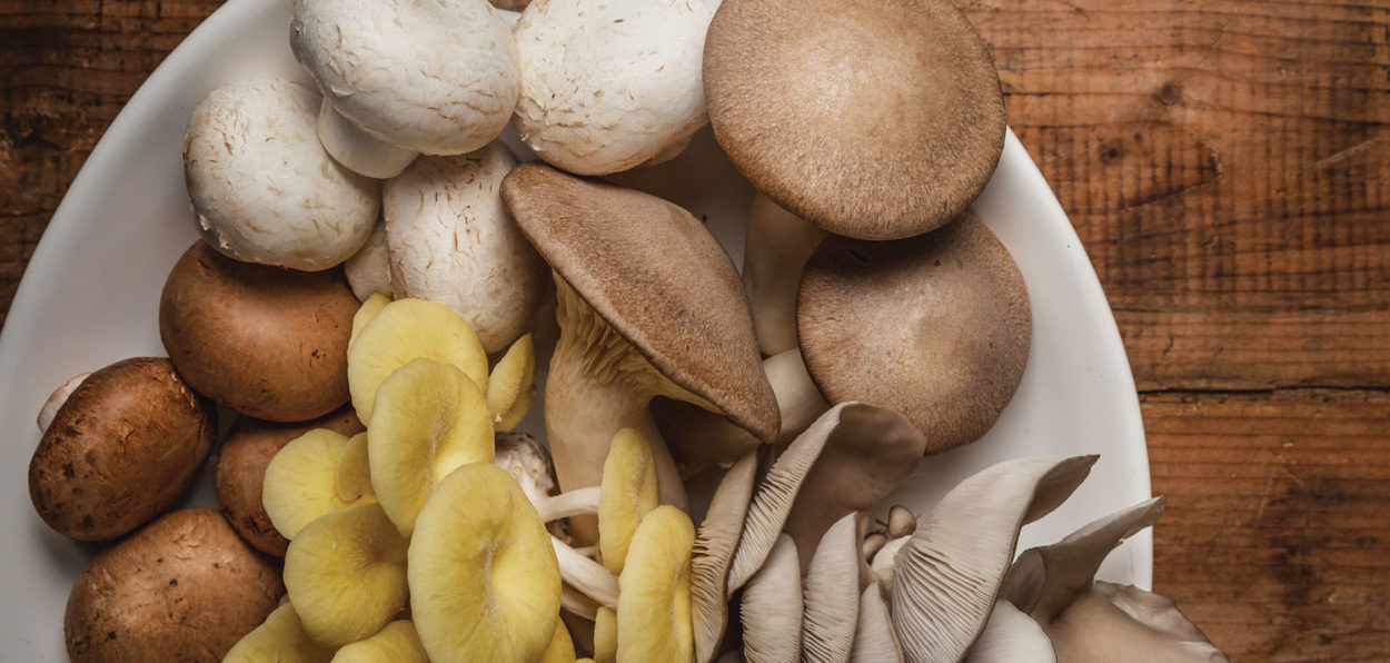 Las setas están listas para su primera fotografía de cerca – El Observador